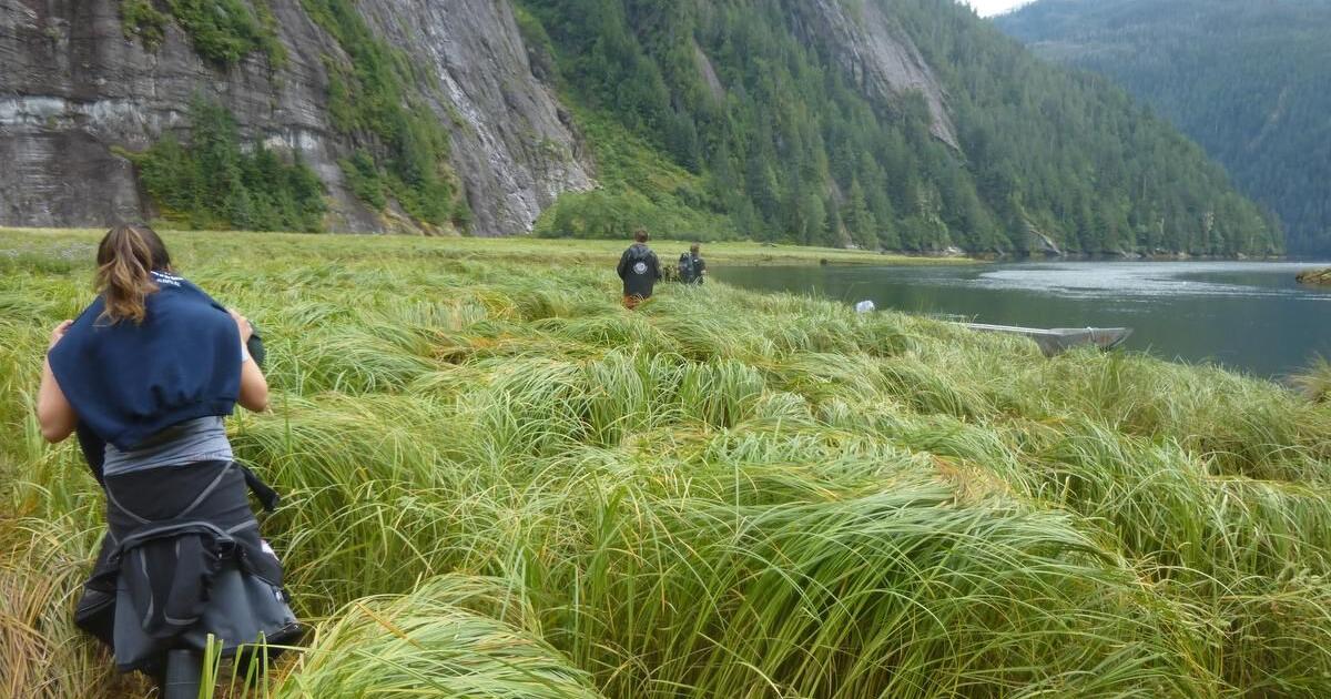 Indigenous guardian patrols offer ‘eyes on the land’ across Canada