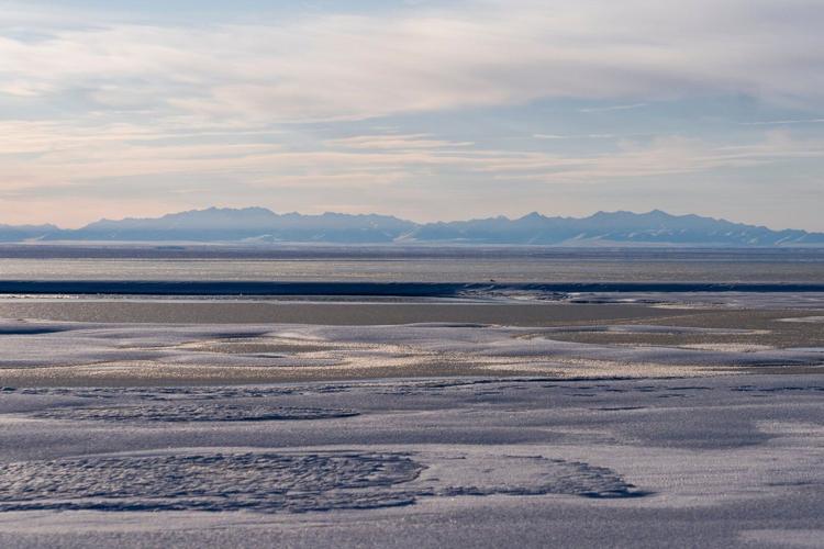 A tiny Arctic village in Alaska is trying to revive its polar bear ...