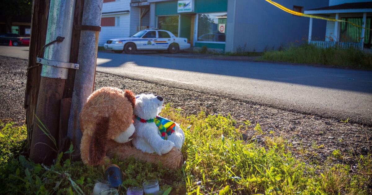 New Brunswick boys killed by python spent fun-filled last day