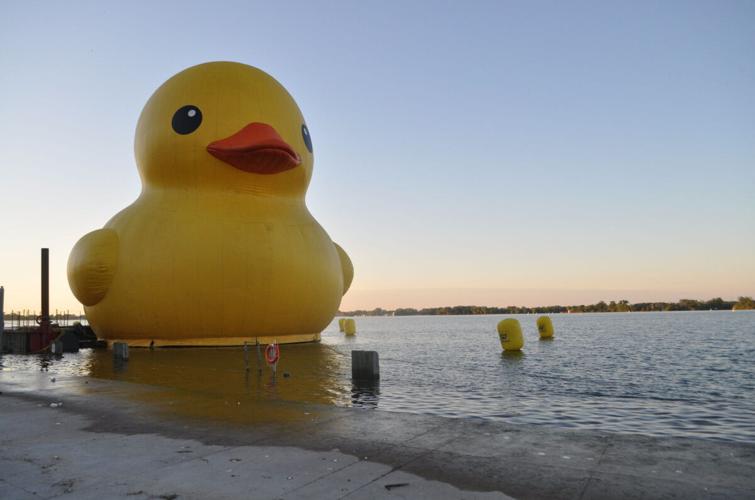 Toronto turns out for a last look at the duck