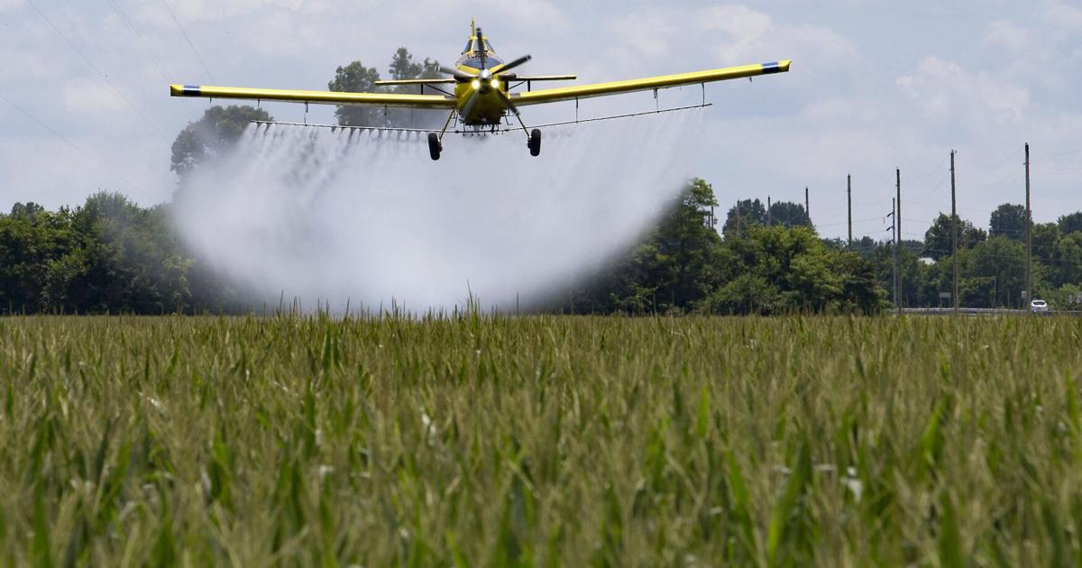 Fertilizer Firm Nutrien Forecasts 2020 Agriculture Rebound After Tough Q4