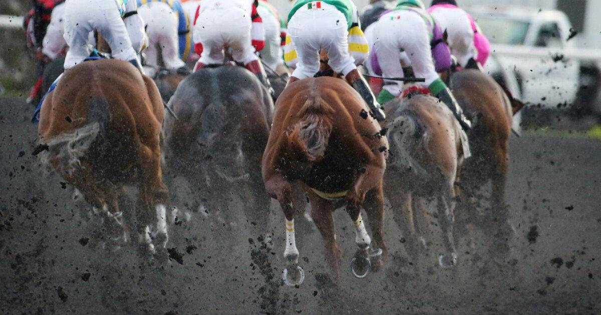 OLG bets on horse racing to help Liberals rebrand: Cohn