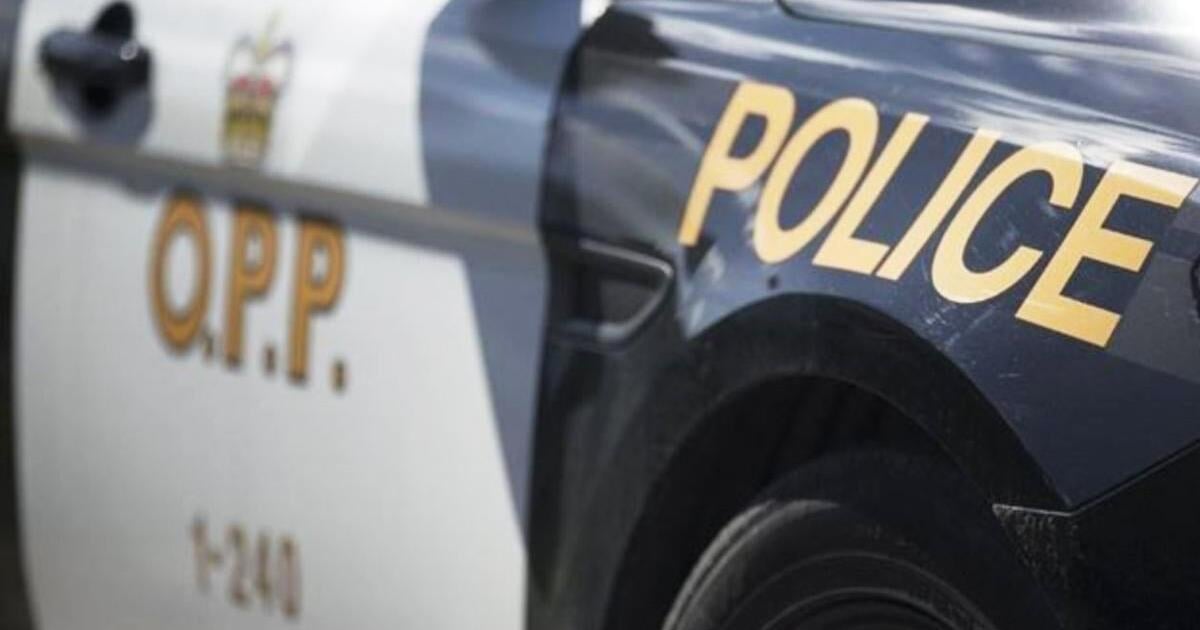 Two veteran OPP officers, two civilians charged in tow truck corruption ...