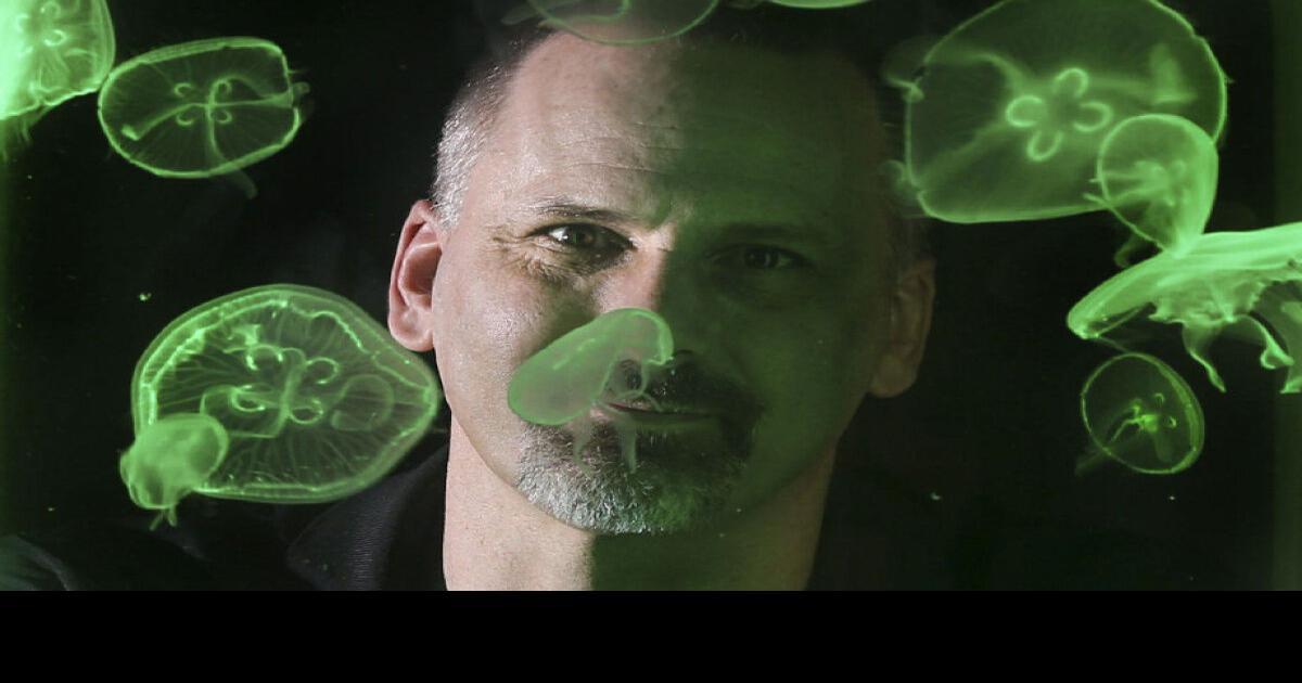 Jellyfish wrangler delivers aquatic bliss to the masses