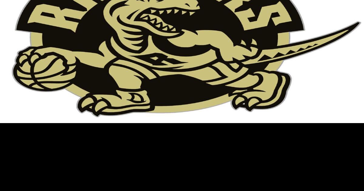 Raptors rebranding: Which colour scheme fits best?