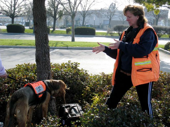 The tale of the missing capybara: Pet detectives reveal their secrets ...