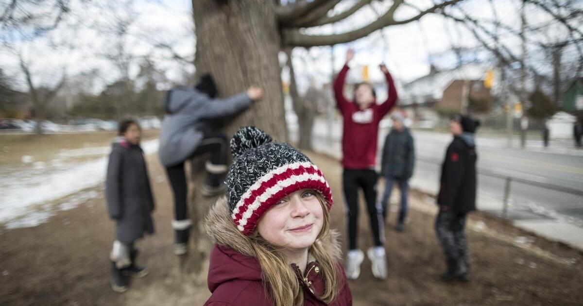 Not even fire could take down ‘Stumpy,’ a historical, cherished ...