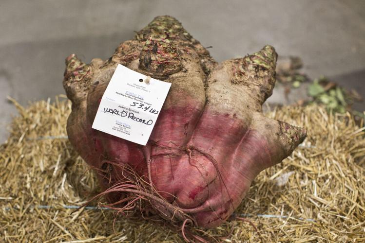 Royal Winter Fair features giant, possibly record-setting veggies