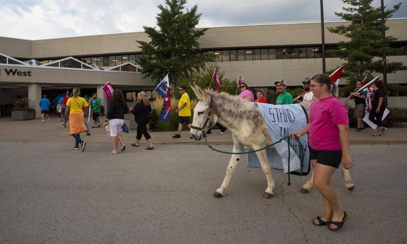 Union, along with a donkey, raises a stink at Niagara Region headquarters