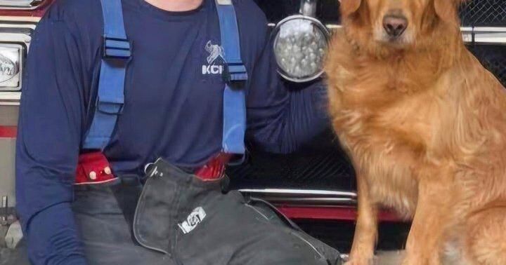 Woman charged with murder in stabbing of a paramedic during ambulance ...