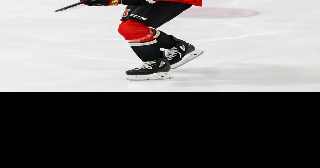 Toronto Six forward Daryl Watts to become PHF’s highest-paid player