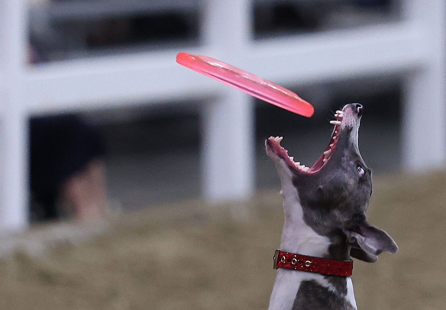 News from the Star you should know on Thursday, Nov. 13, 2025