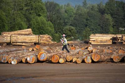 logging industry in bc