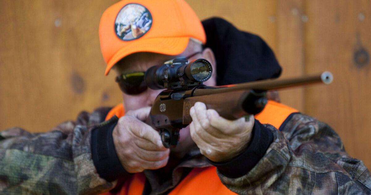 Quebec has reasons to cheer long gun registry ruling: Hébert