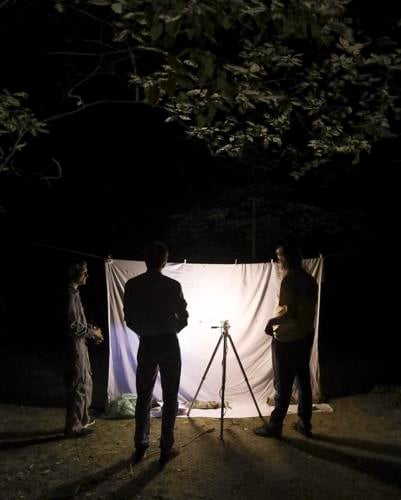 Meet the High Park Mothia — a group of ‘insect obsessives’ who make ...