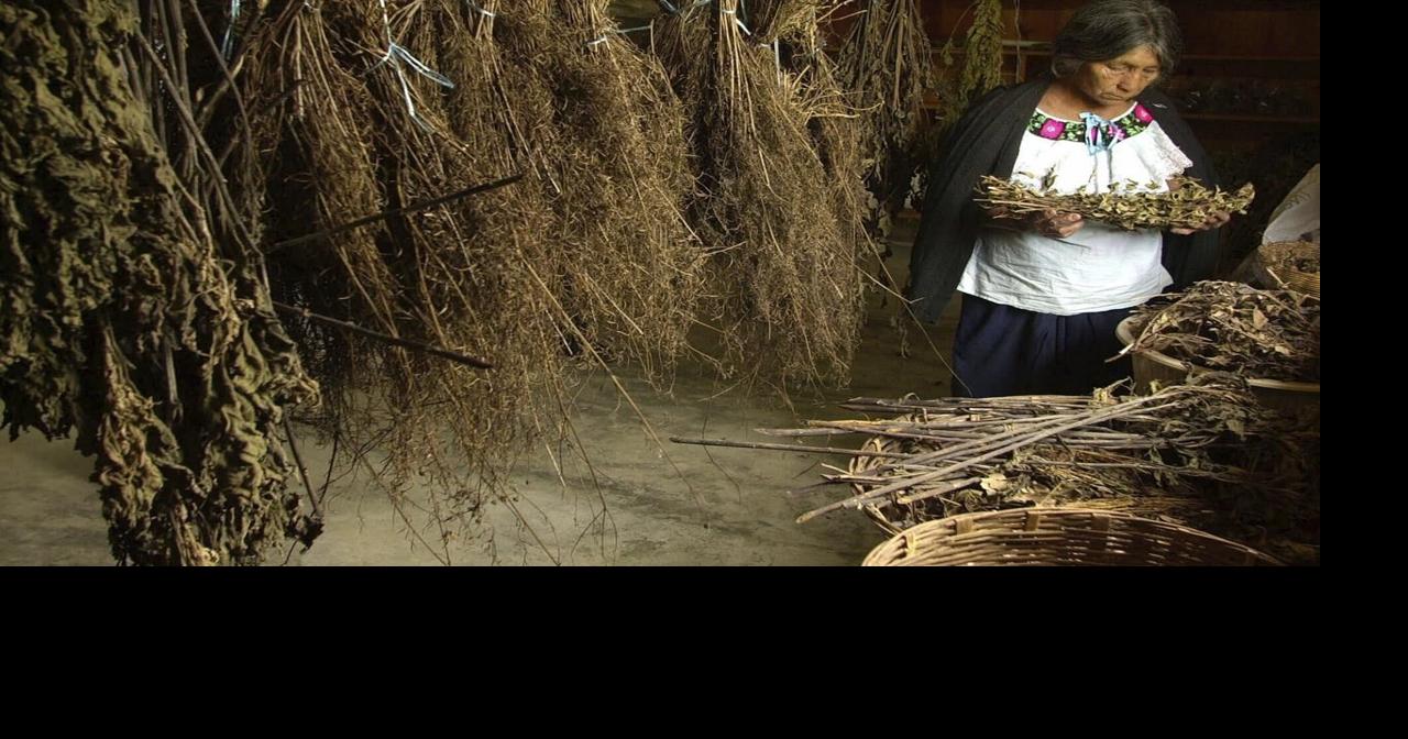 Mexico to use traditional medicine, more Cuban doctors