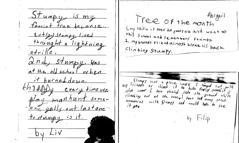 Not even fire could take down ‘Stumpy,’ a historical, cherished ...