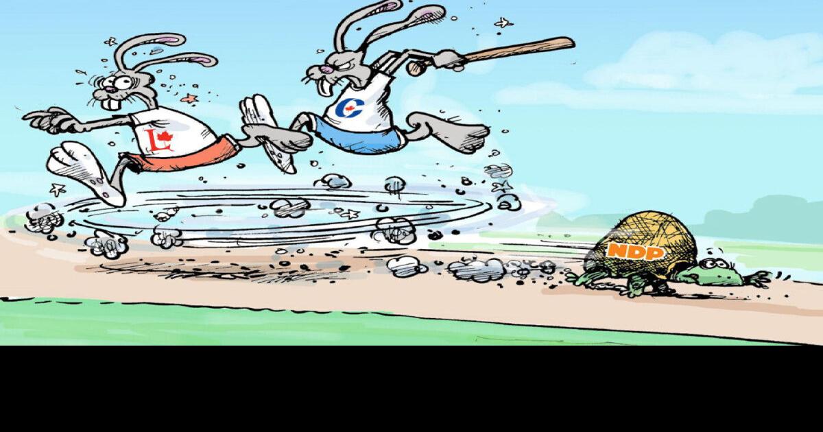 Greg Perry: The tortoise and the hares