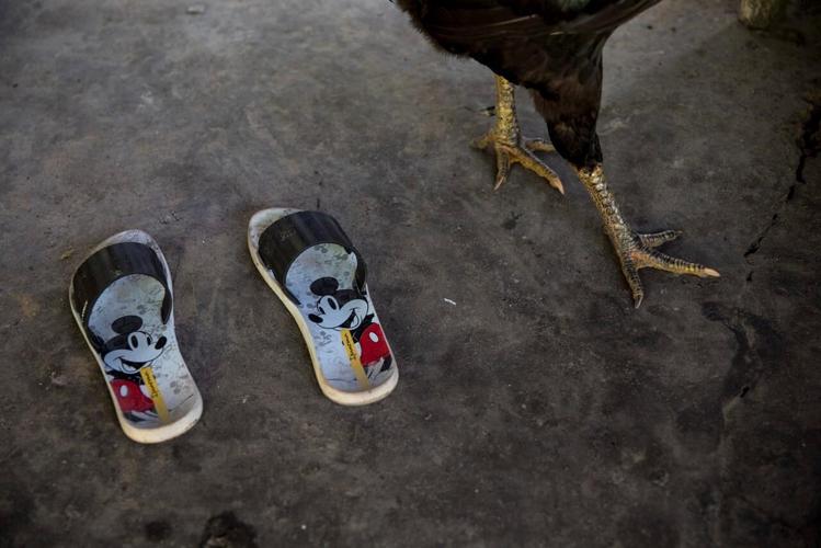 Arrows and smartphones: daily life of Amazon Tembe tribe
