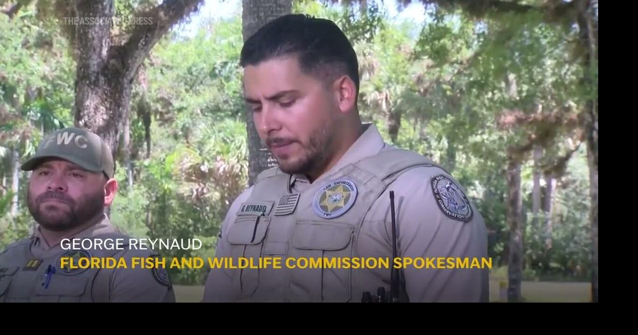 Florida wildlife officers kill 3 black bears after a bear killed a man ...