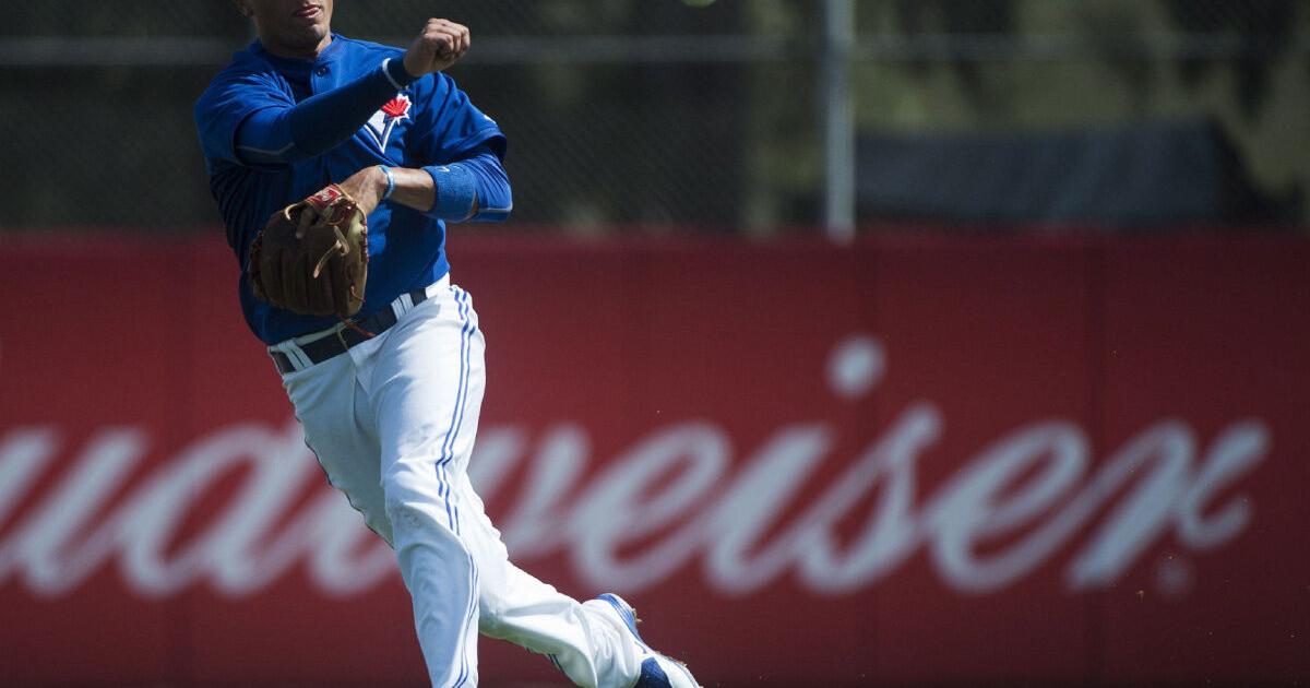 Blue Jays hopeful Ryan Goins hopes simplified approach will help hitting