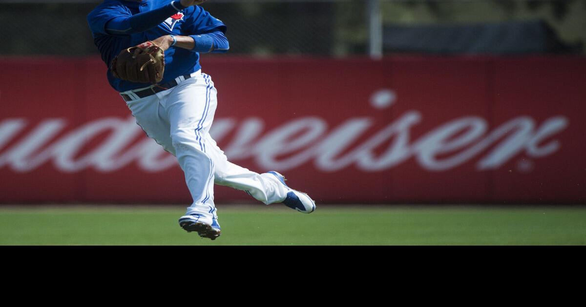 Blue Jays hopeful Ryan Goins hopes simplified approach will help hitting