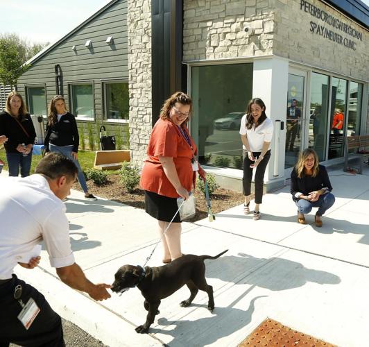Photos: Peterborough Regional Spay/Neuter Clinic opens at Peterborough ...