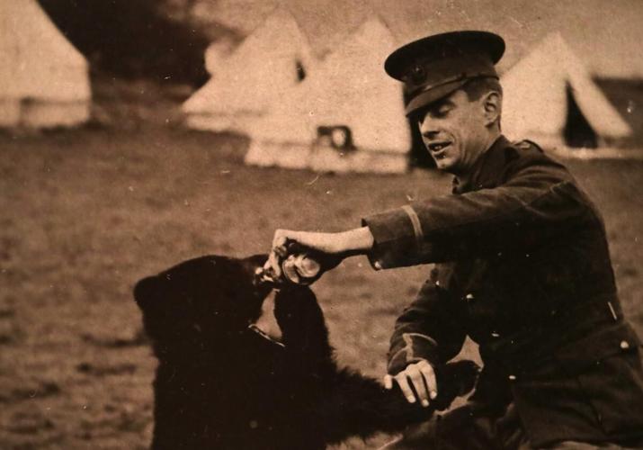 Winnie-the-Pooh show at the ROM shows lasting cultural power of a kid ...