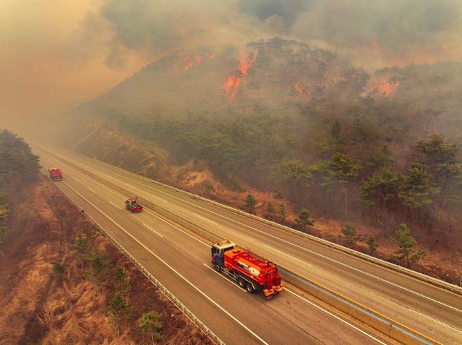 PHOTO COLLECTION: South Korea Wildfires