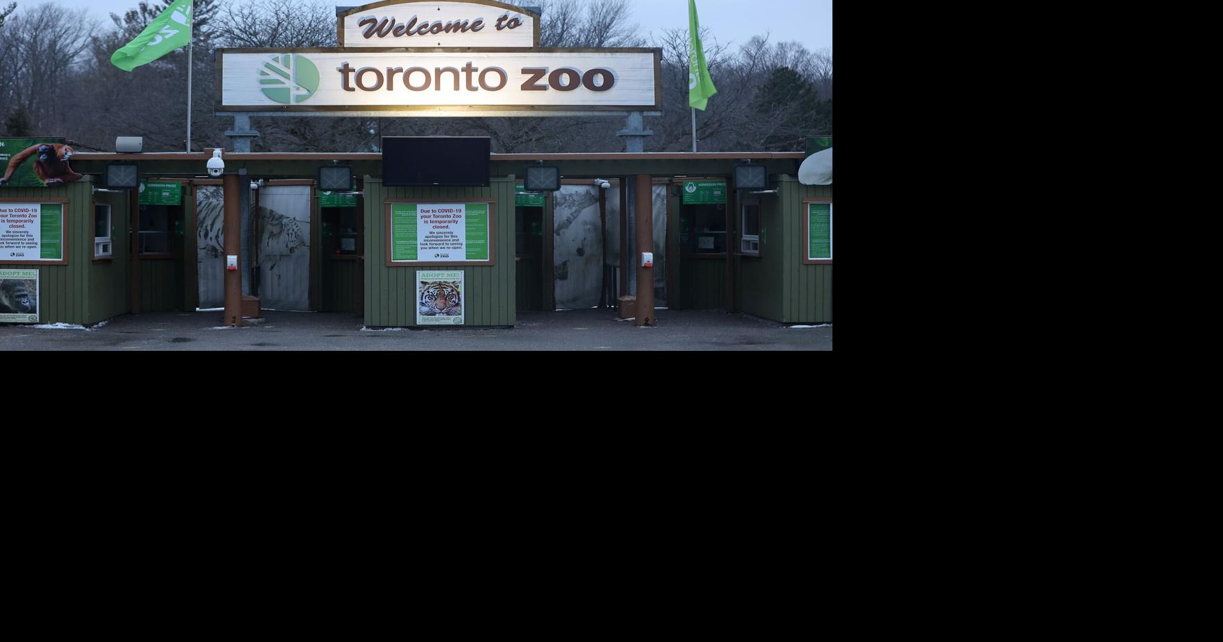 Free Toronto Zoo pass for First Nations, Inuit and Métis