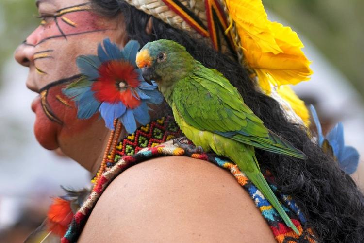 PHOTO COLLECTION: Brazil Indigenous Camp