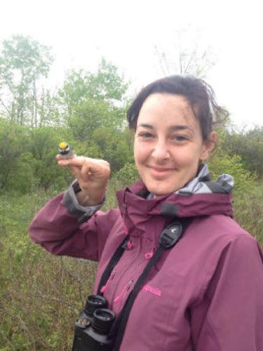 Fall bird migration is on, so enjoy the show