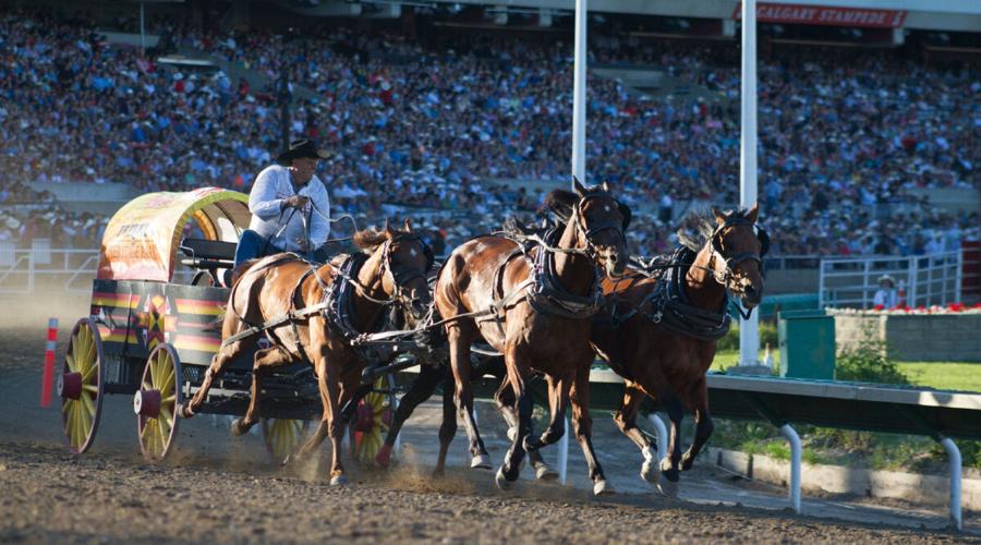 A guide to the ‘chucks’ at the Calgary Stampede