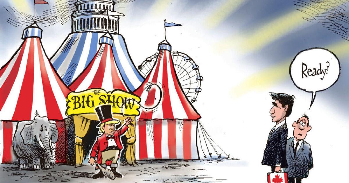 Patrick Corrigan: Trump circus