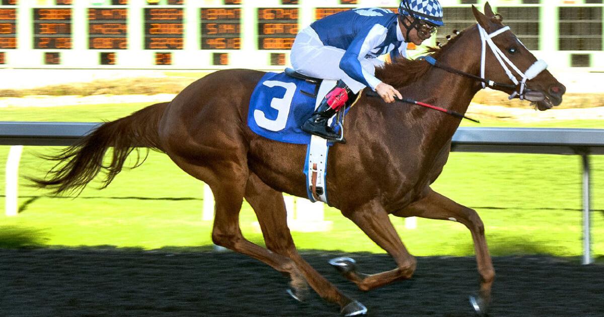 Sisters are 'riding the dream' of thoroughbred racing