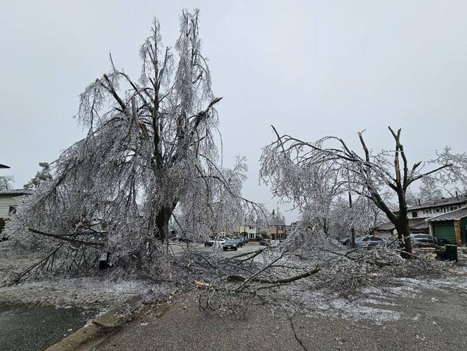 Ontario ice storm: Could burying power lines reduce outages?
