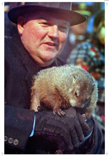 groundhog bites bloomberg