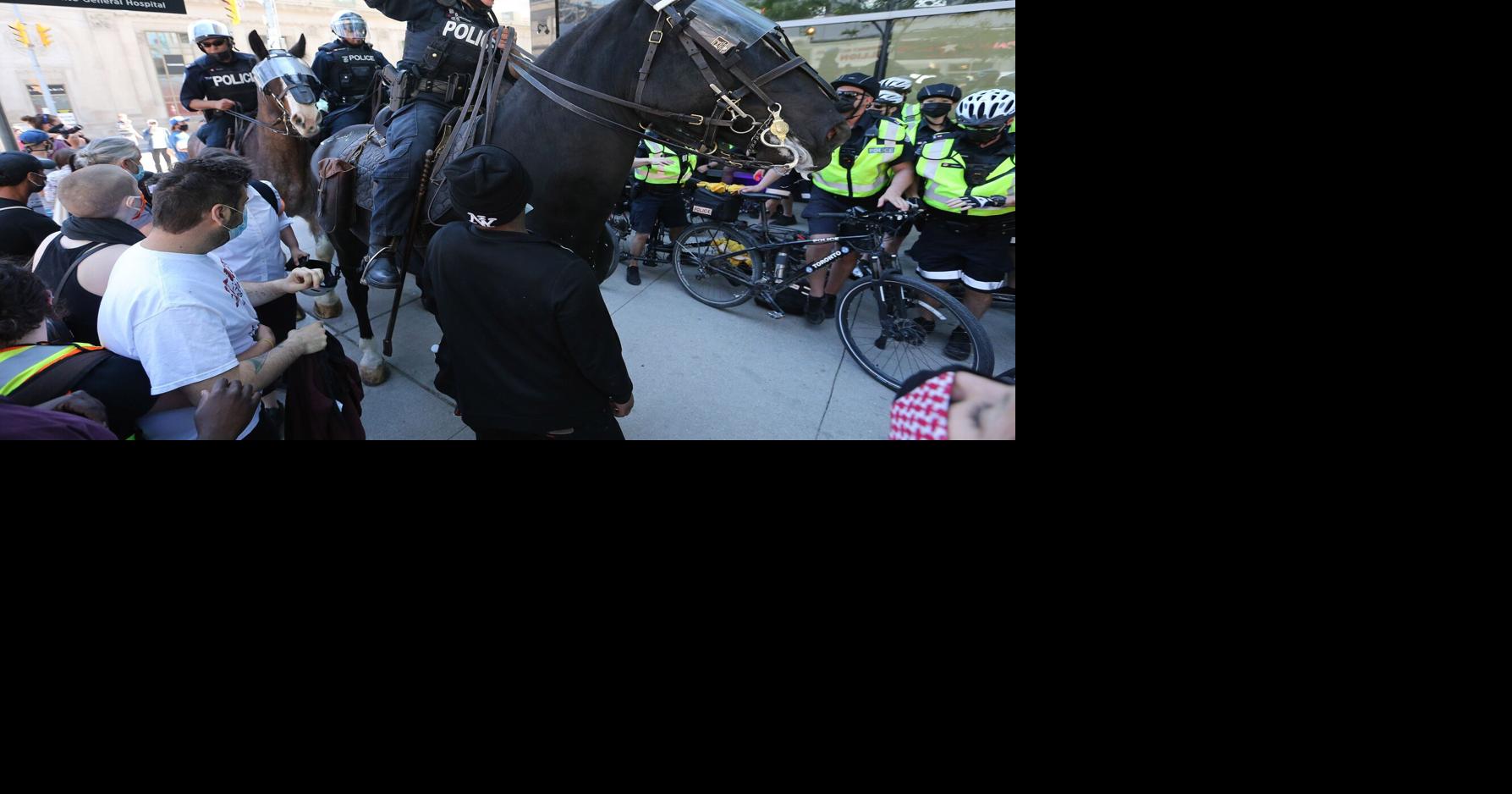 Why Toronto police want millions to reno their horse stables