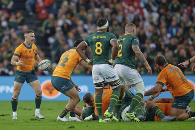 springbok loss