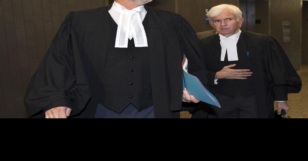 Magnotta murder trial hears from tabloid reporter about 2011 cat ...