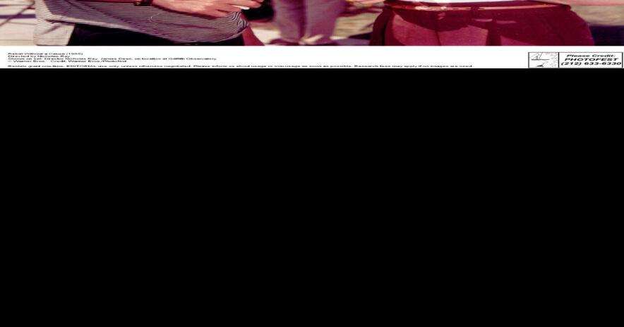 Howell: The cinema is still Nicholas Ray