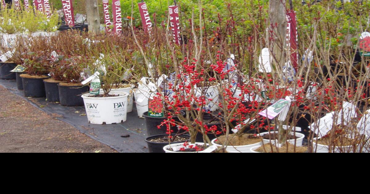 Spring gardening tips from expert gardener Mark Cullen
