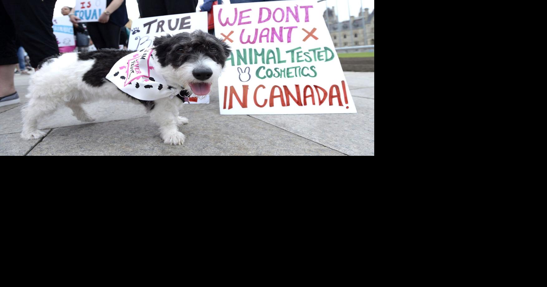 Anti-animal testing centre needs federal funding