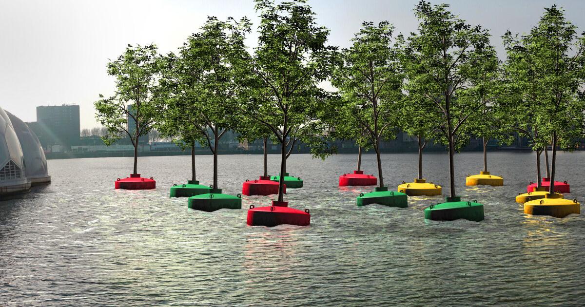 How Rotterdam got a floating forest