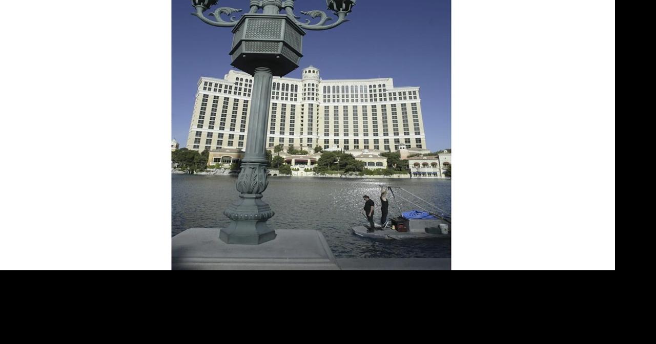 Las Vegas's Bellagio pauses fountain show when rare bird visits