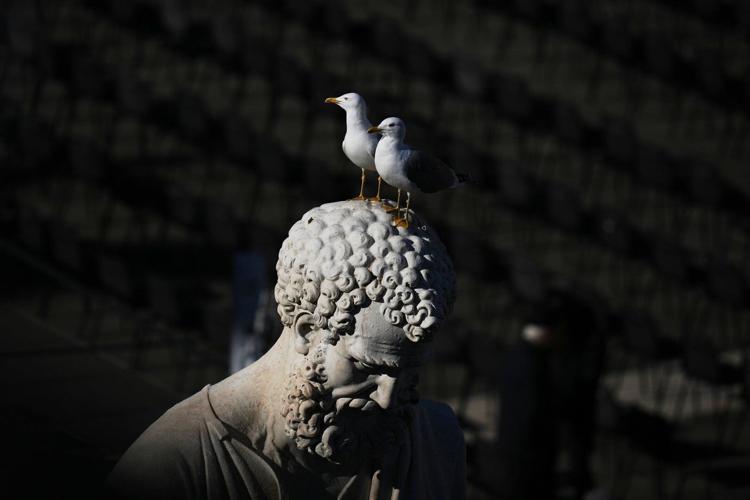 The top photos of the day by AP's photojournalists