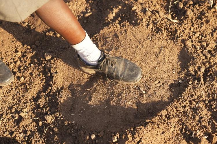 In Zimbabwe, schoolchildren face threats from animals. Now they are ...