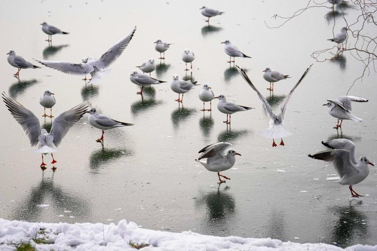 Freezing rain and ice disrupt travel across central and eastern Europe