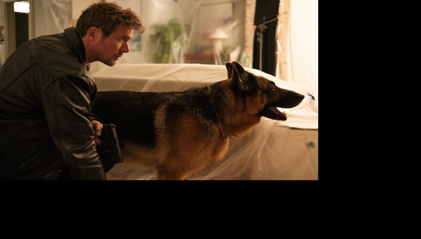 Real-life dog poisoning mystery roiling ‘Hudson & Rex’