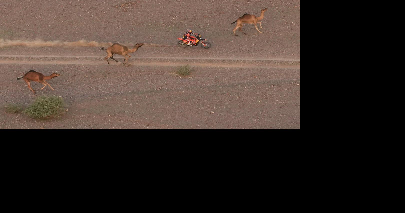 Quintero wins Dakar Rally second stage and Al-Attiyah takes overall lead